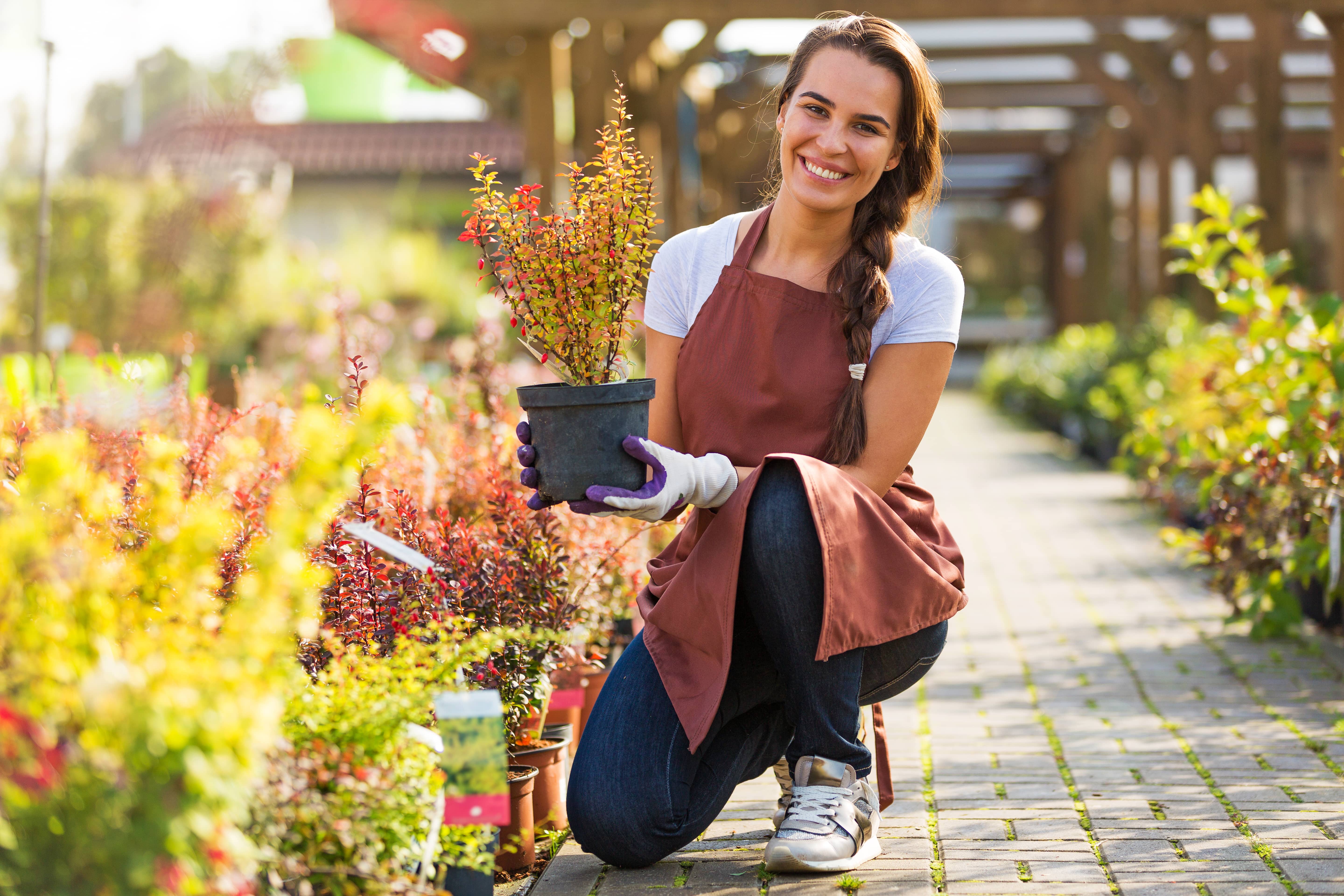 Garden Centre Staff Rostering Software | RosterElf